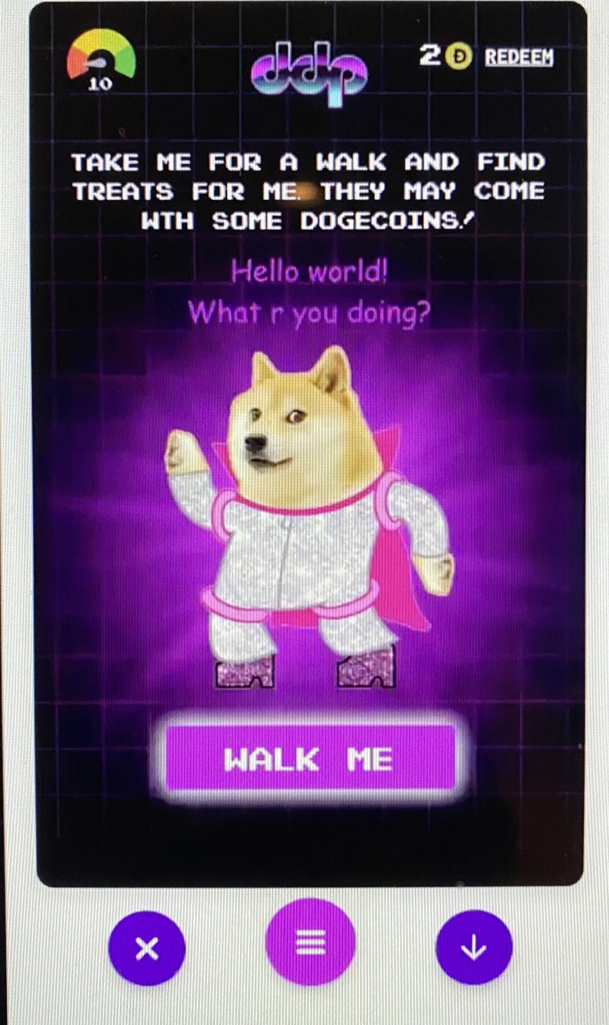 Doge Disco
